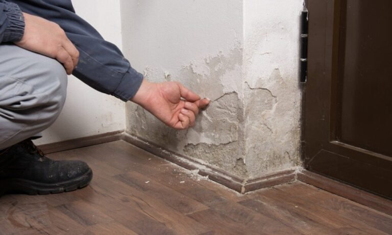 How to Spot Dampness in Walls and Floors: Signs to Watch For